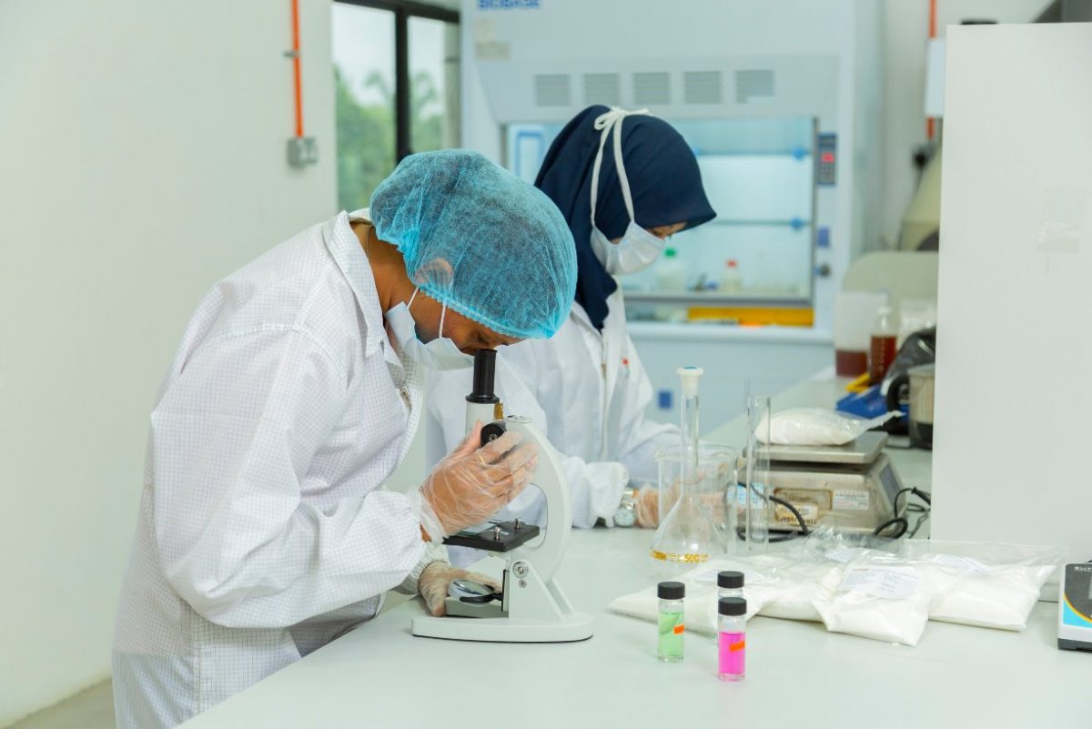 Manufacturing Process Of Msg – Aji-No-Riki Malaysia – Leading MSG ...